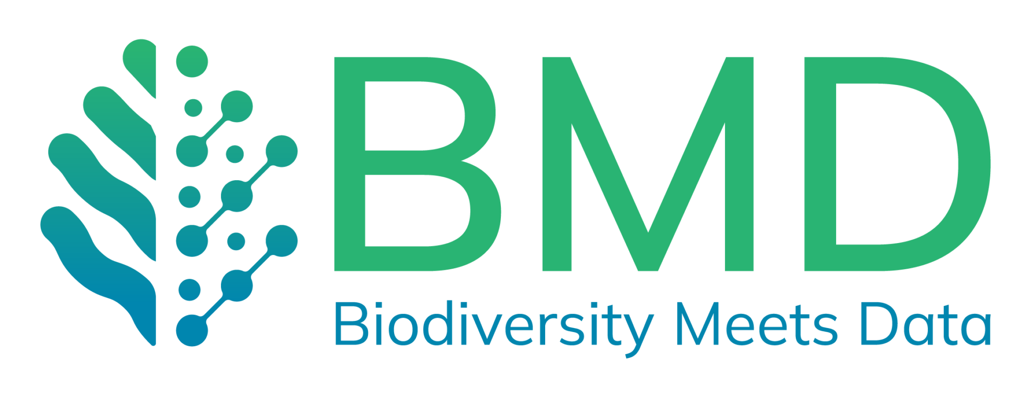 BMD - www.ismar.cnr.it