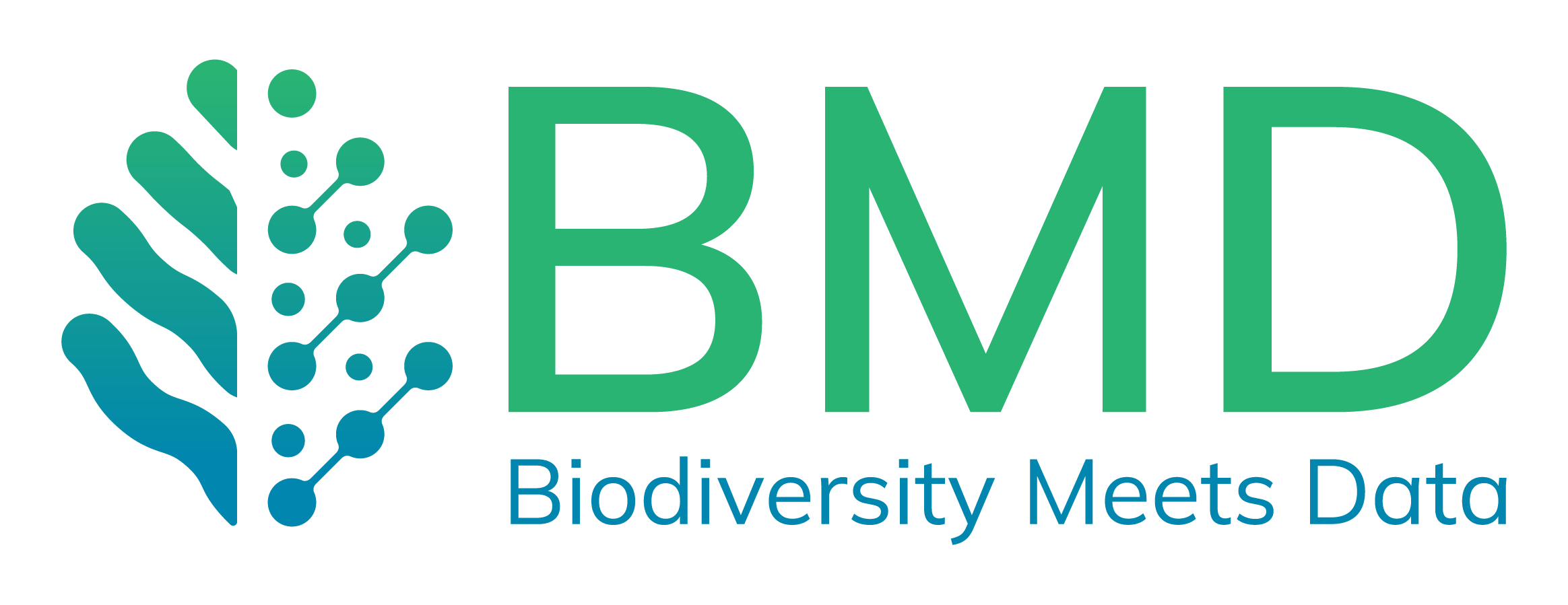 BMD - www.ismar.cnr.it